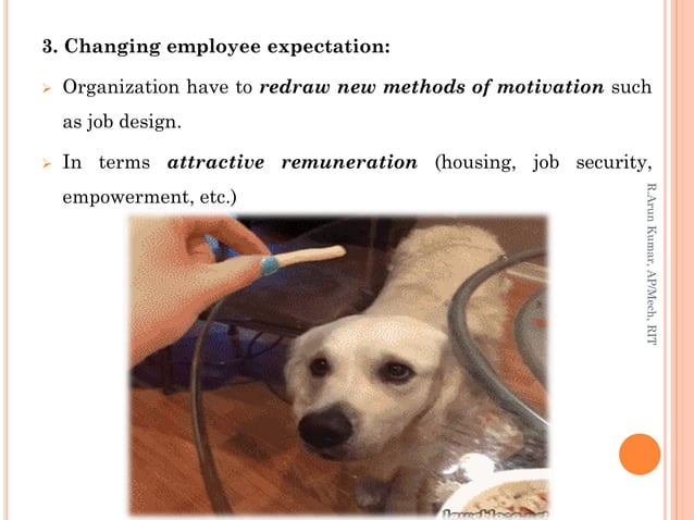 Current trends and issues in management | PDF | Business | Business and ...