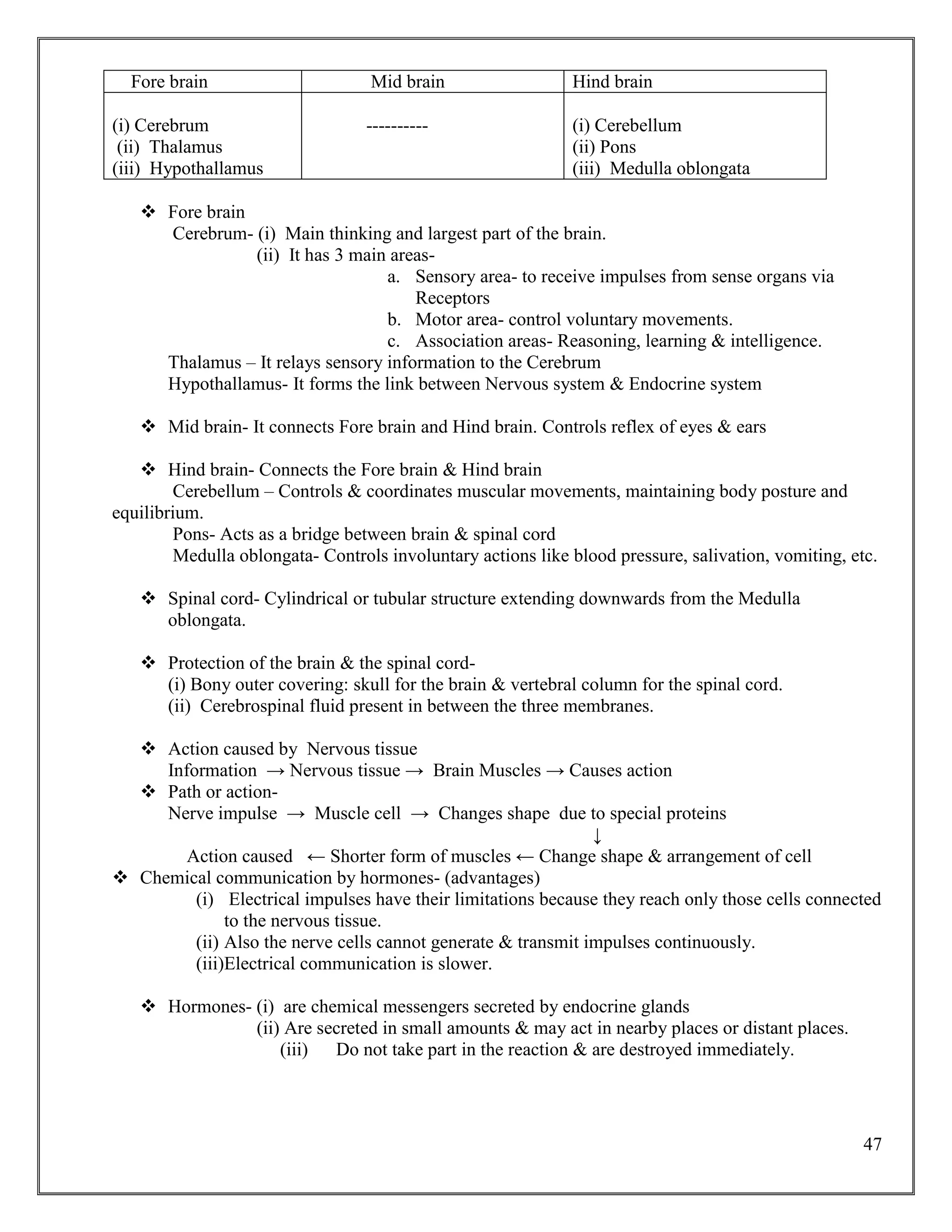 10.std.mind map notes | PDF