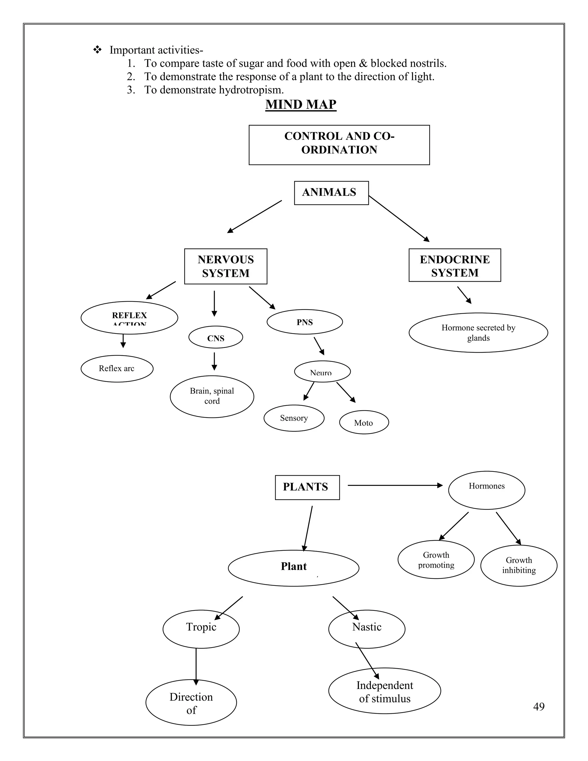 10.std.mind map notes | PDF