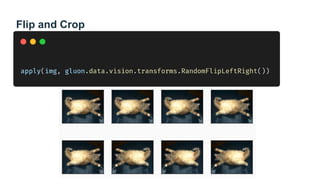 Computer Vision: Image Augmentation | PDF