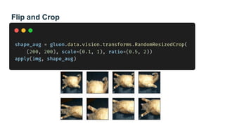 Computer Vision: Image Augmentation | PPT