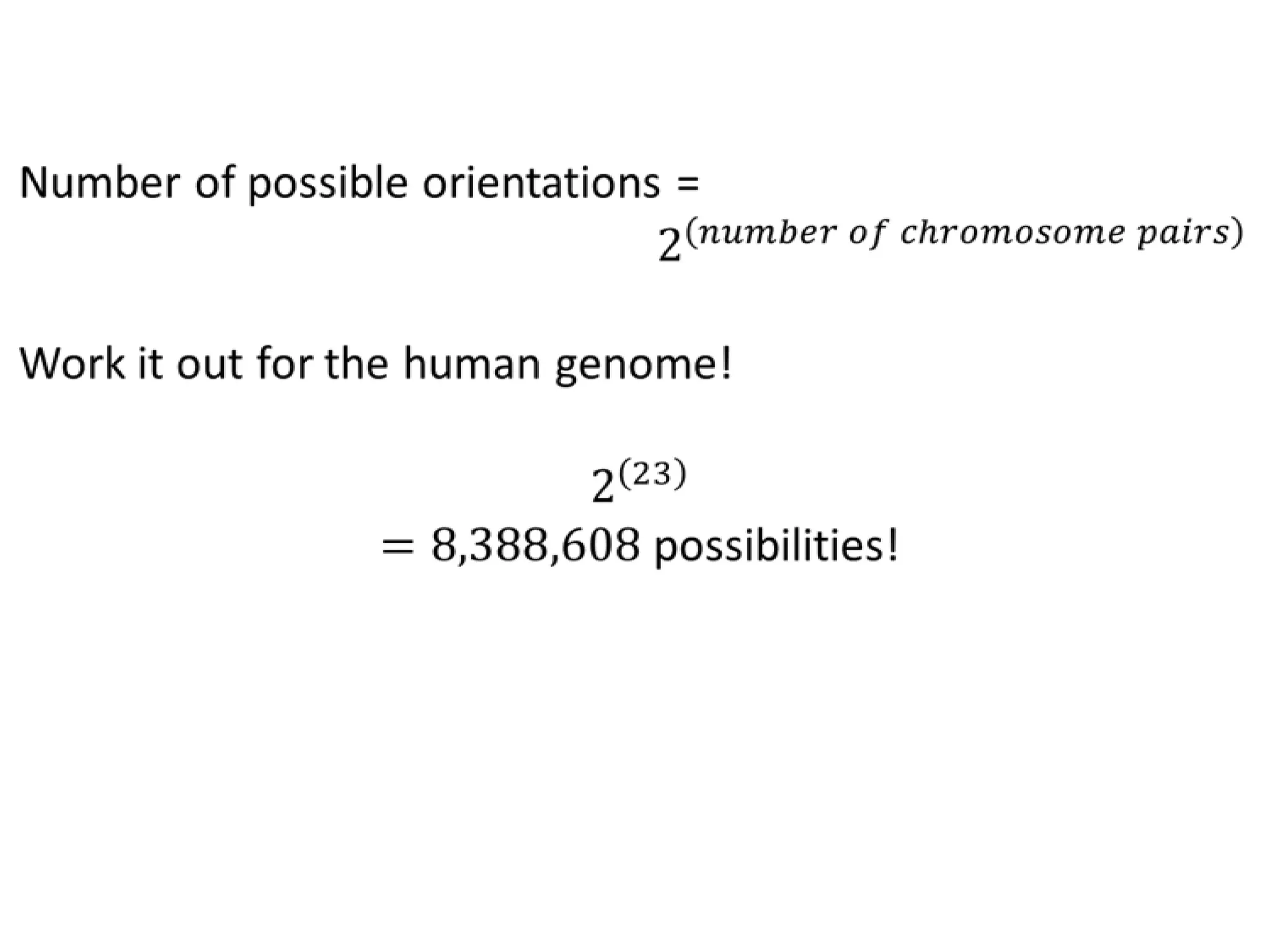 IB Biology AHL 10.1: Meiosis | PPTX