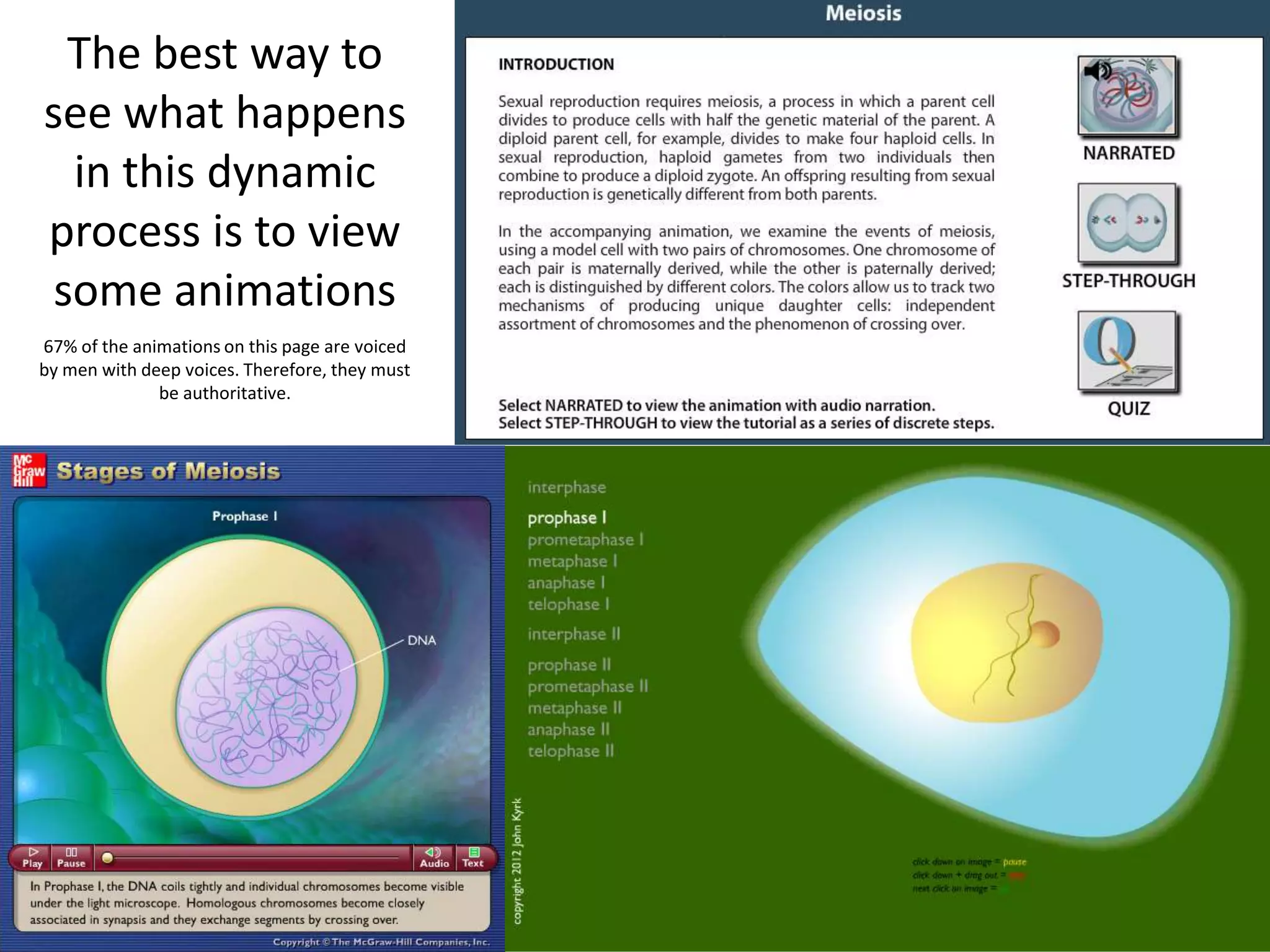 IB Biology AHL 10.1: Meiosis | PPT