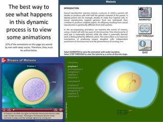 IB Biology AHL 10.1: Meiosis | PPTX