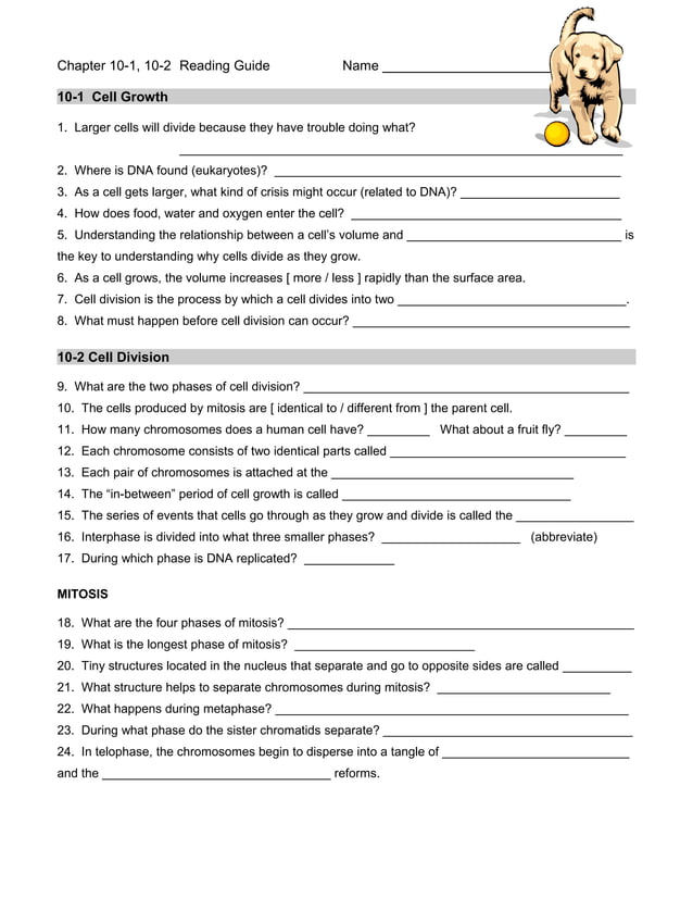 Ch. 10-1 to 10-3 Guided Reading | PDF
