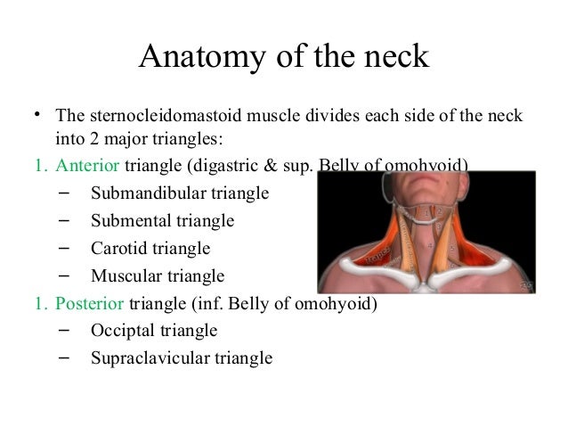 10 neck masses - copy