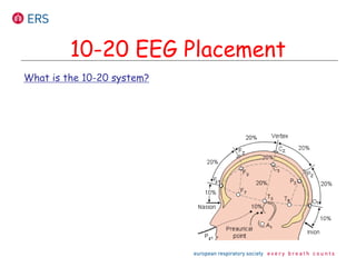 10 -20.pdf
