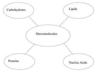 food mactomolecule | PPT