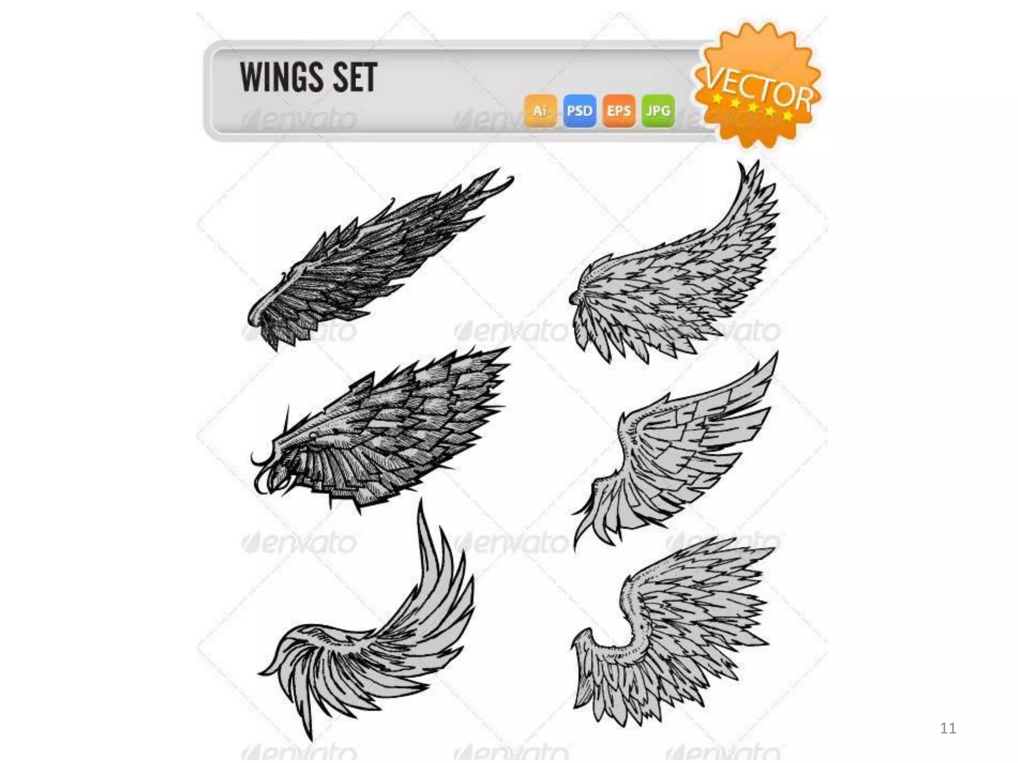 Types of insect wings | PPTX