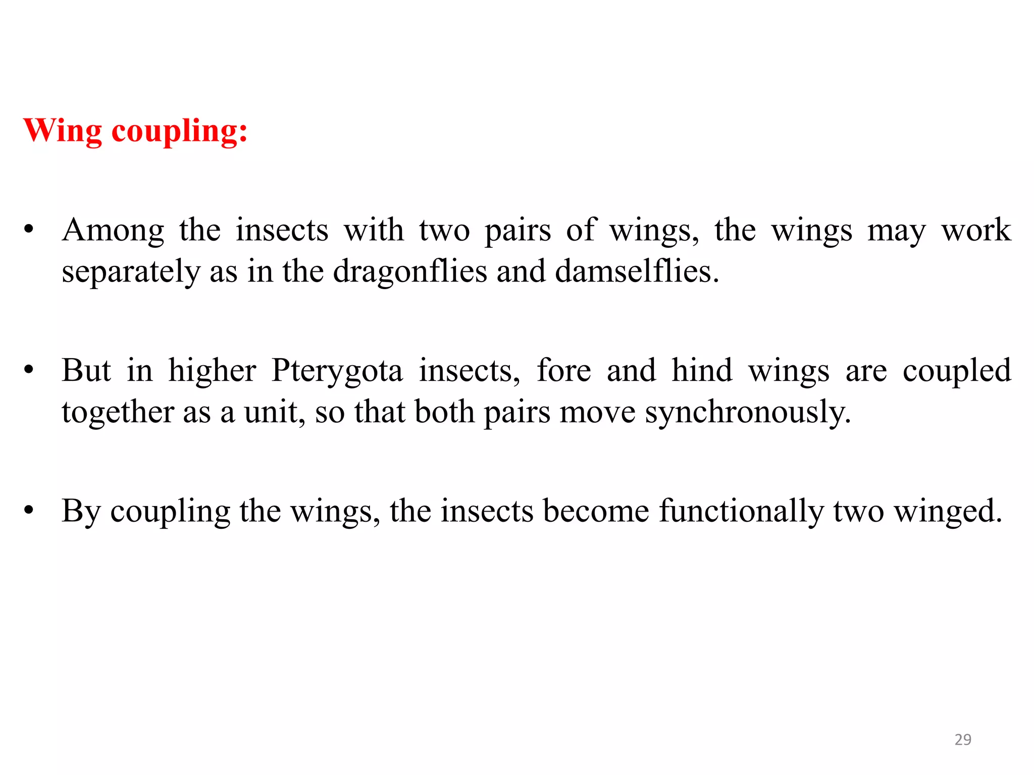 Types of insect wings | PPTX