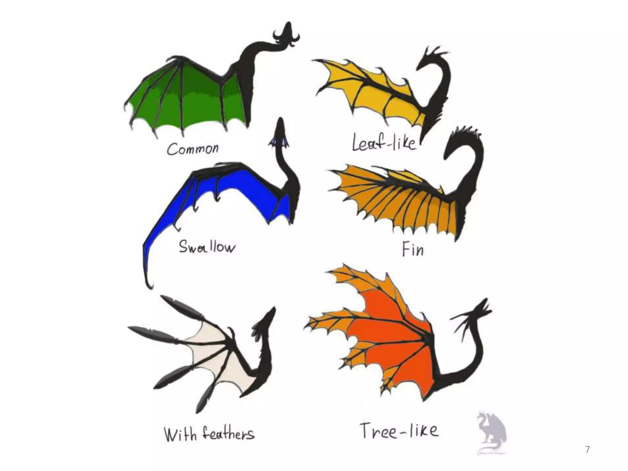 Types of insect wings | PPTX