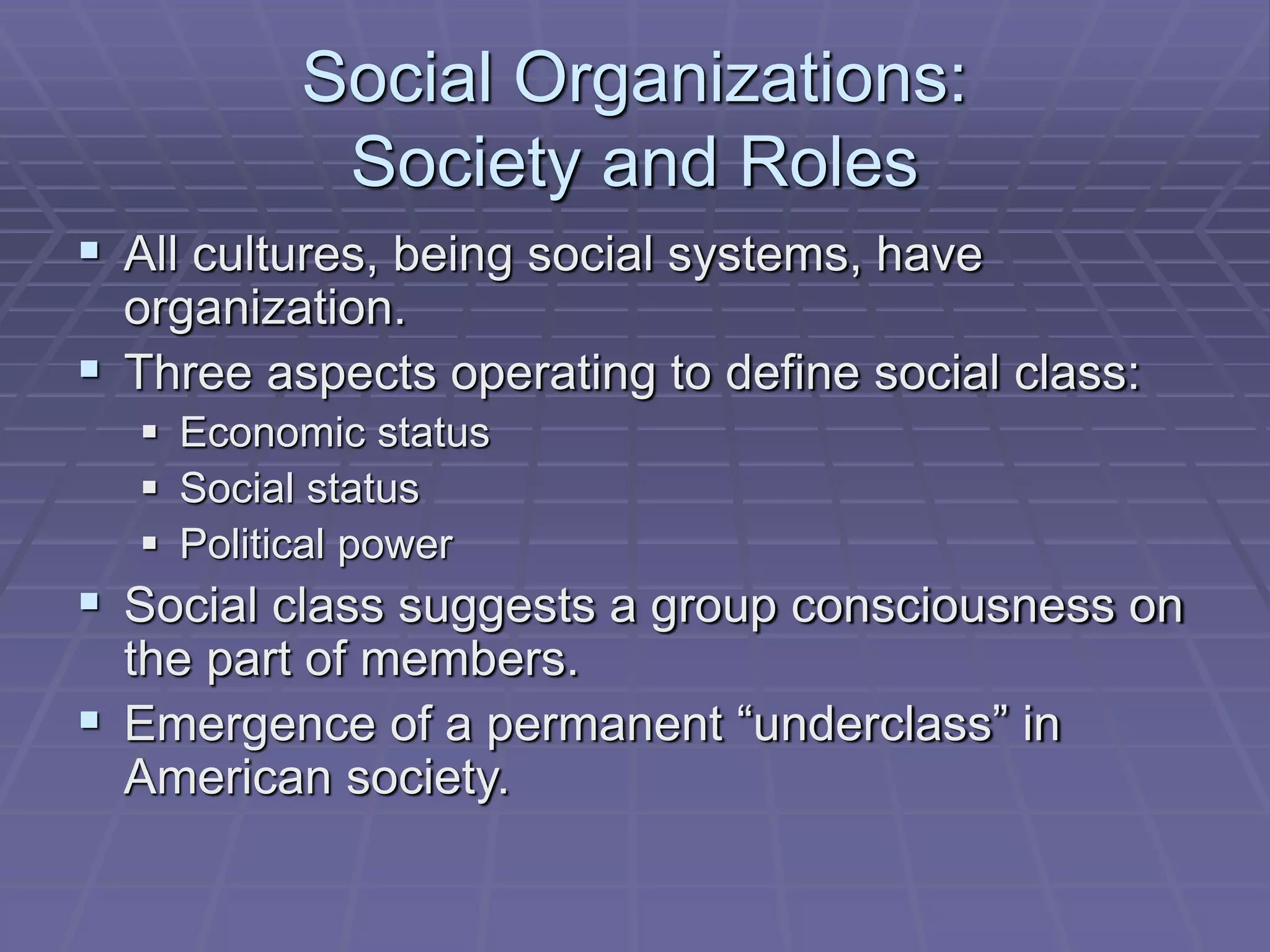 Culture and Society|A Social Systems Perspective | PPT