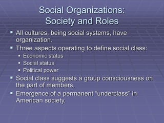 Culture and Society|A Social Systems Perspective | PPT