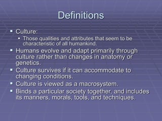 Culture and Society|A Social Systems Perspective | PPT