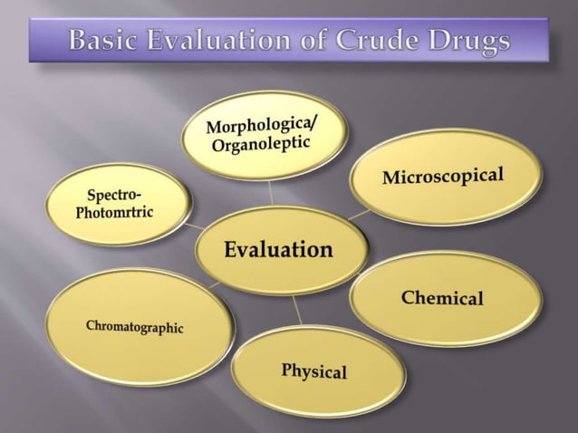 10. WHO & ICH guidelines | PPT
