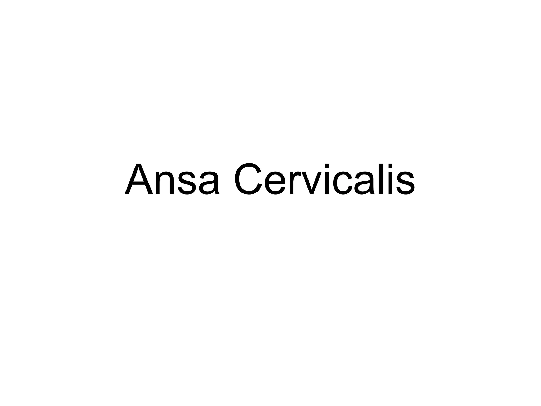 Ansa cervicalis | PPTX