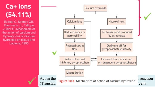 CALCIUM HYDROXIDE IN CONSERVATIVE DENTISTRY | PPTX