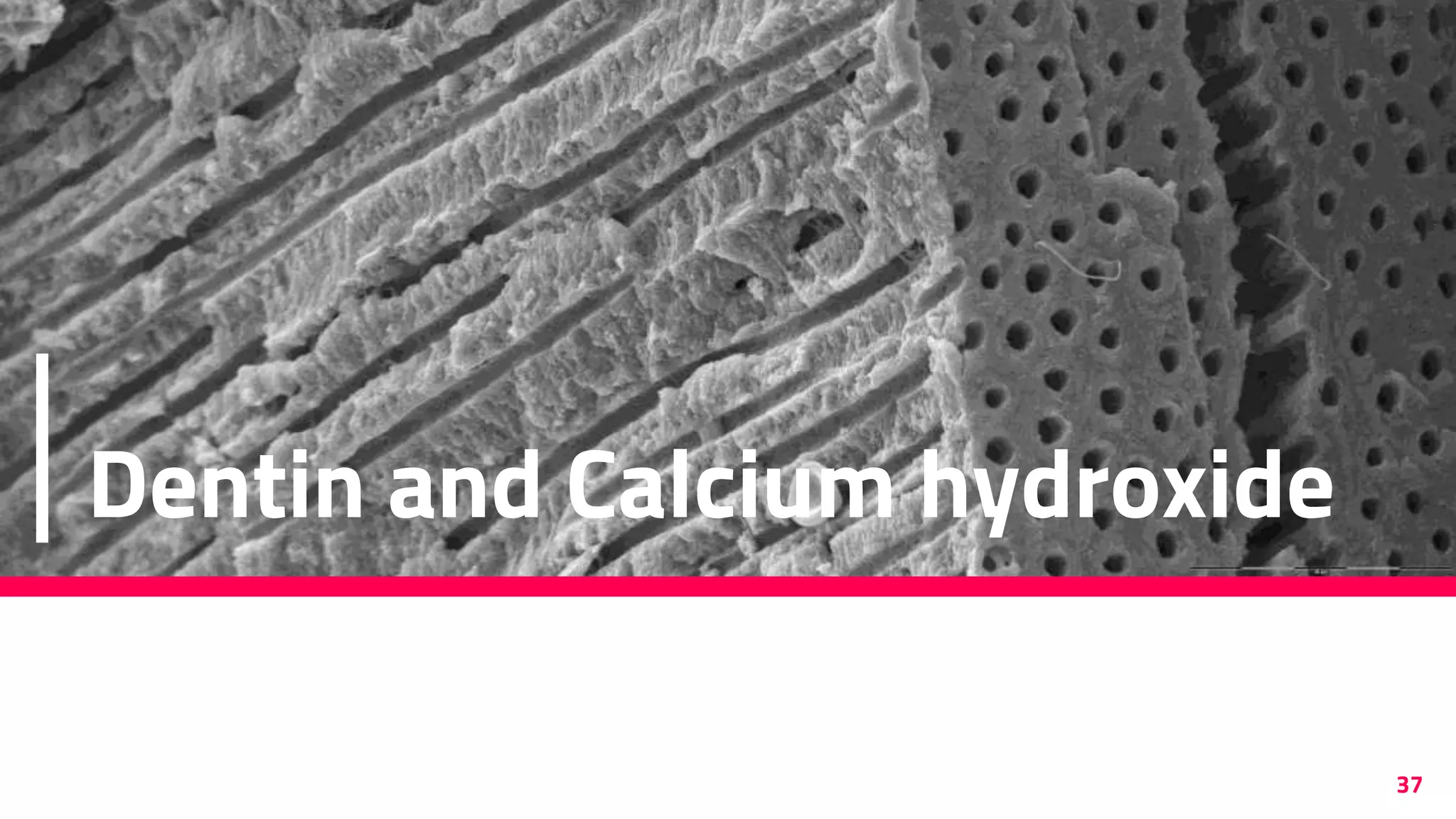 CALCIUM HYDROXIDE IN ENDODONTICS | PPTX