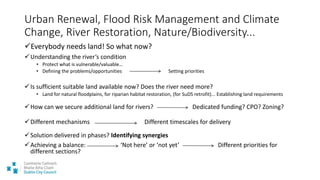 10. Restoring the River Camac - Mary-Liz Walshe, DCC | PPT