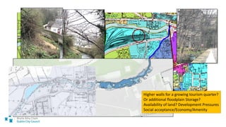 10. Restoring the River Camac - Mary-Liz Walshe, DCC | PPT