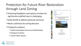 10. Restoring the River Camac - Mary-Liz Walshe, DCC | PPT