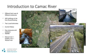 10. Restoring the River Camac - Mary-Liz Walshe, DCC | PPT
