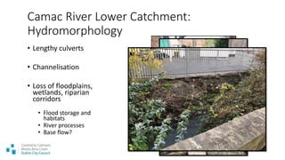 10. Restoring the River Camac - Mary-Liz Walshe, DCC | PPT