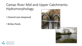 10. Restoring the River Camac - Mary-Liz Walshe, DCC | PPT