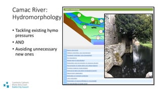 10. Restoring the River Camac - Mary-Liz Walshe, DCC | PPT