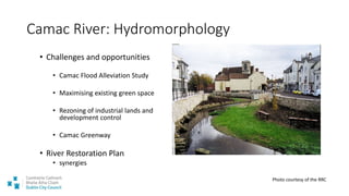 10. Restoring the River Camac - Mary-Liz Walshe, DCC | PPT