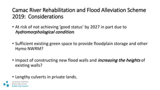 10. Restoring the River Camac - Mary-Liz Walshe, DCC | PPT