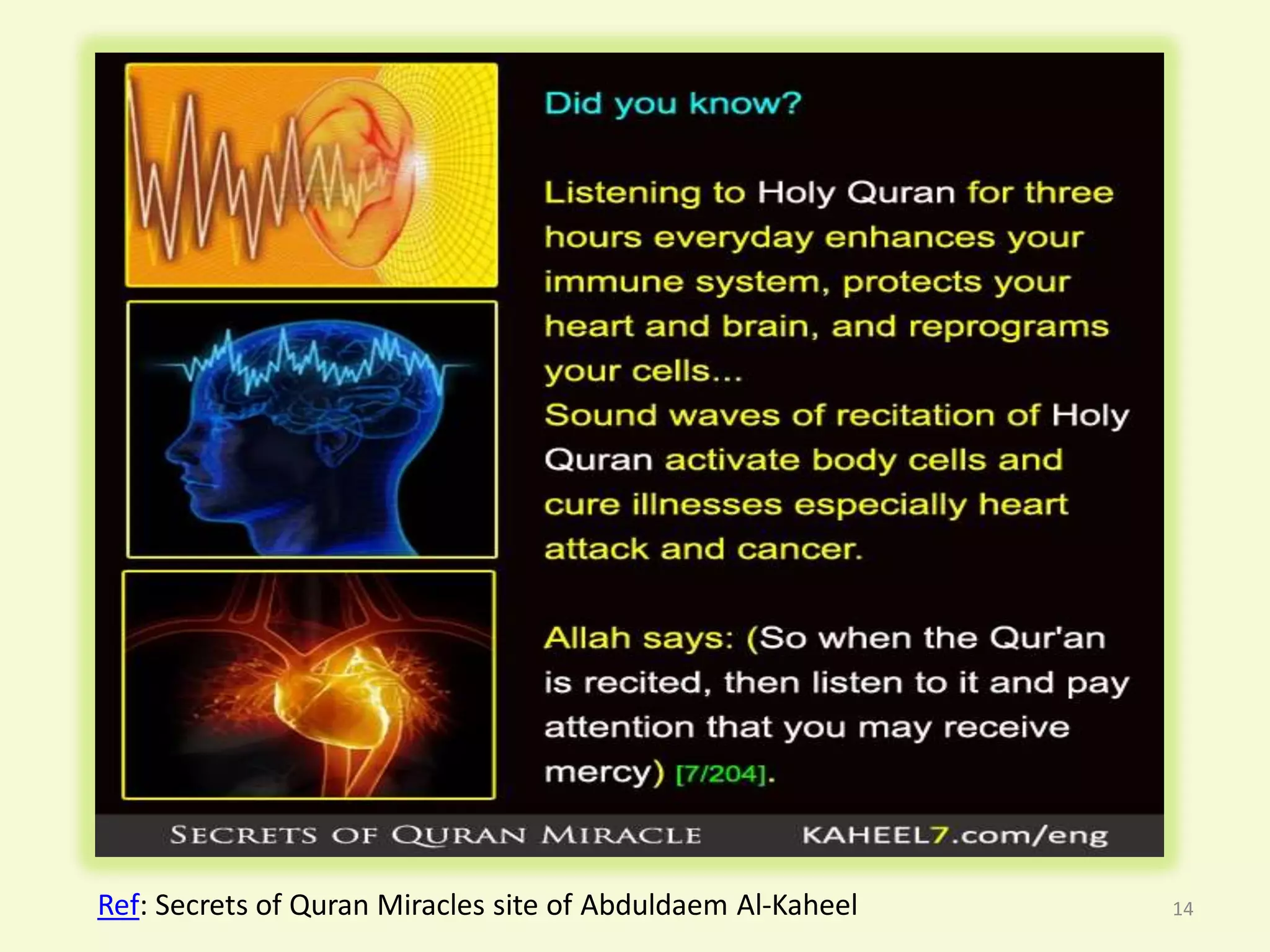 Al Quran (Chapter 10): Surah Yunus [Prophet Jonah (as)] | PDF