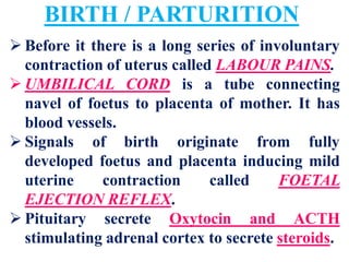 Human Placenta Birth Lactation | PDF | Pregnancy | Reproductive Health