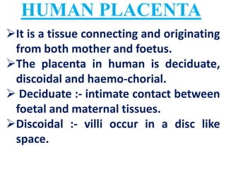 Human Placenta Birth Lactation | PDF