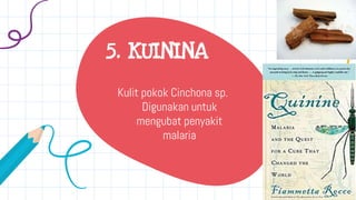 10.1 Perubatan Tradisional, Perubatan Moden dan Perubatan Komplementari ...