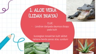 10.1 Perubatan Tradisional, Perubatan Moden dan Perubatan Komplementari ...