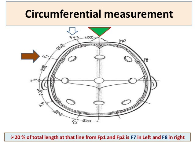 10 20 system of eeg
