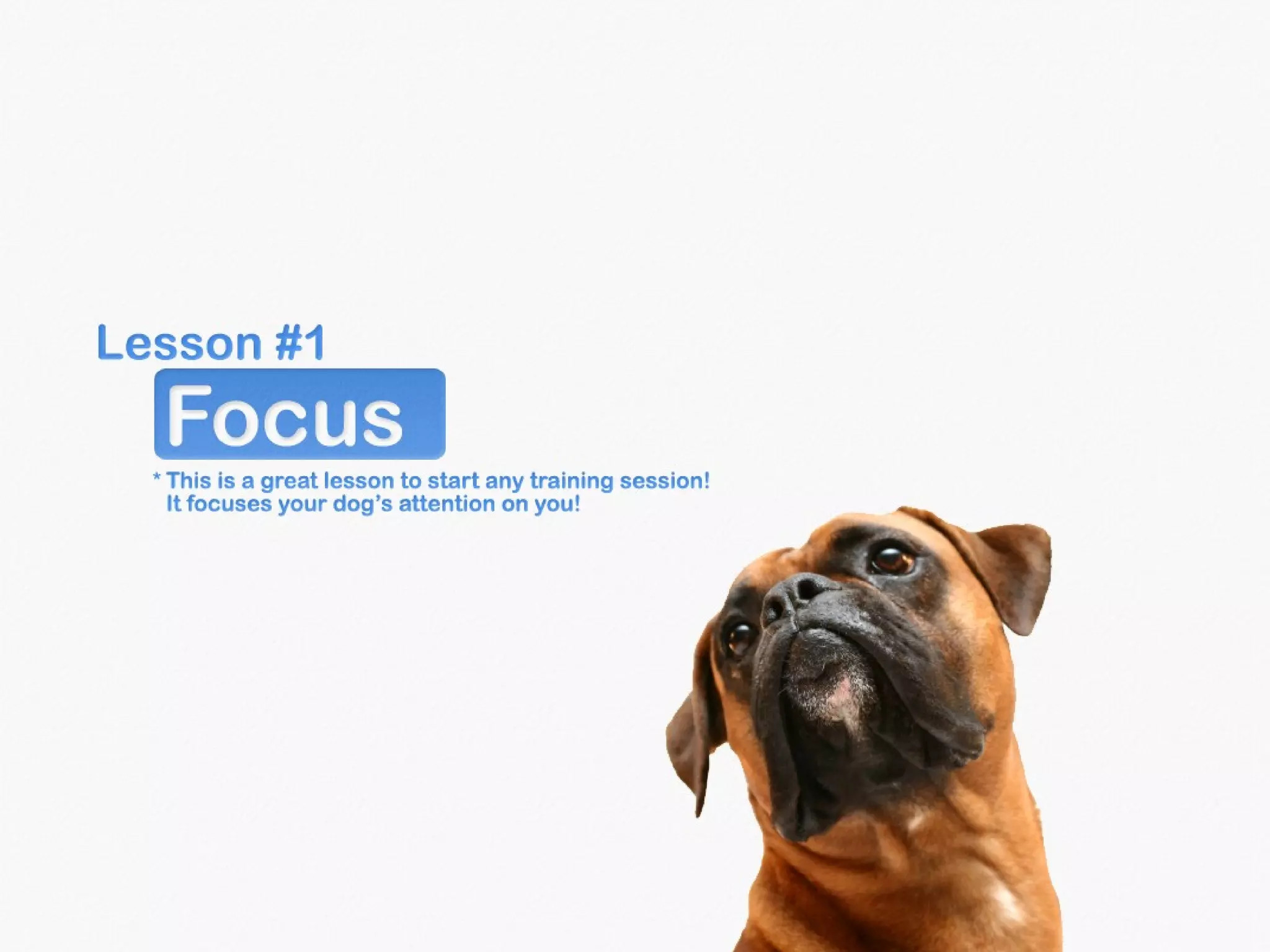 Dog Training Tips and Tricks | PPT