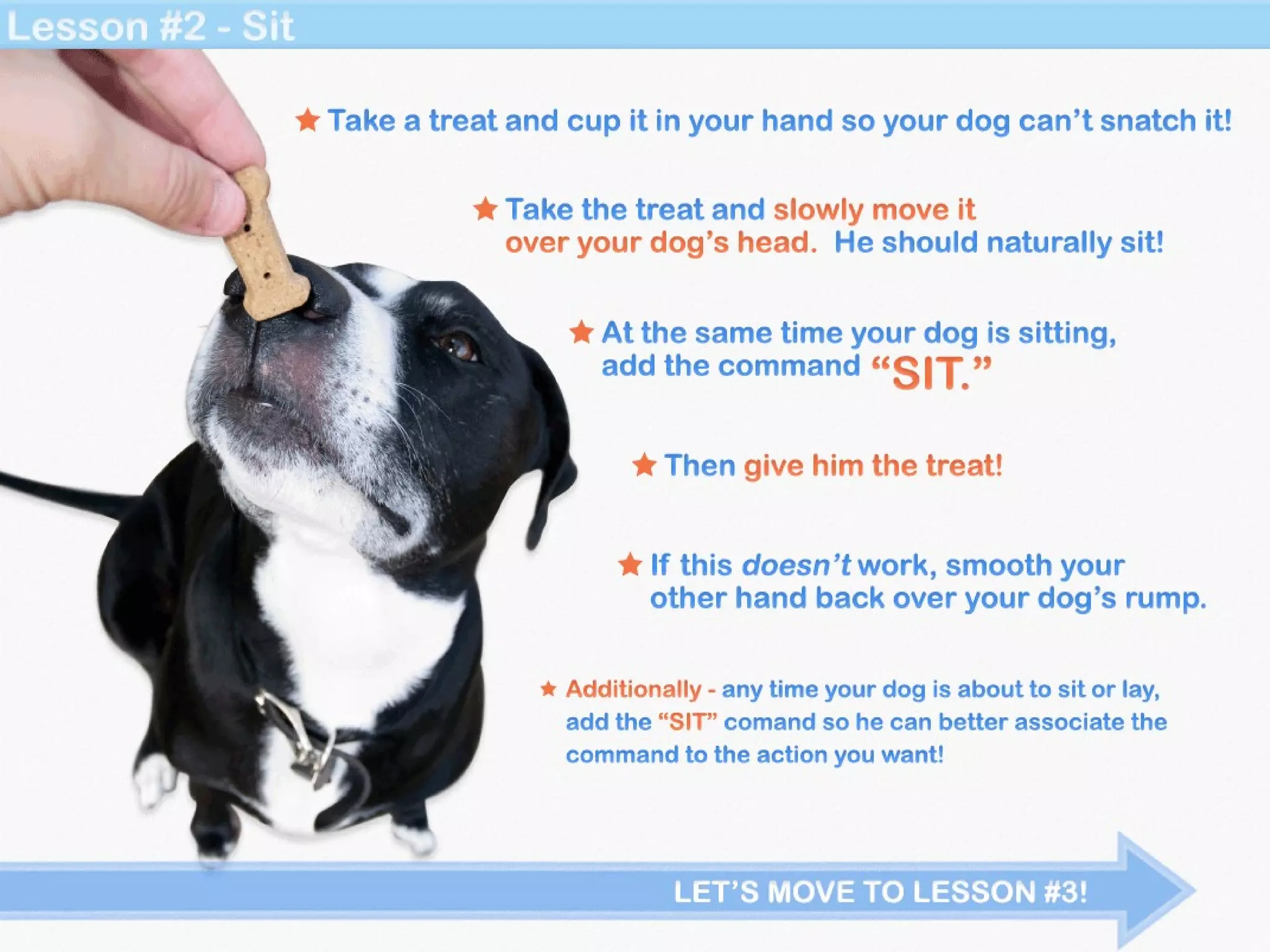 Dog Training Tips and Tricks | PPT