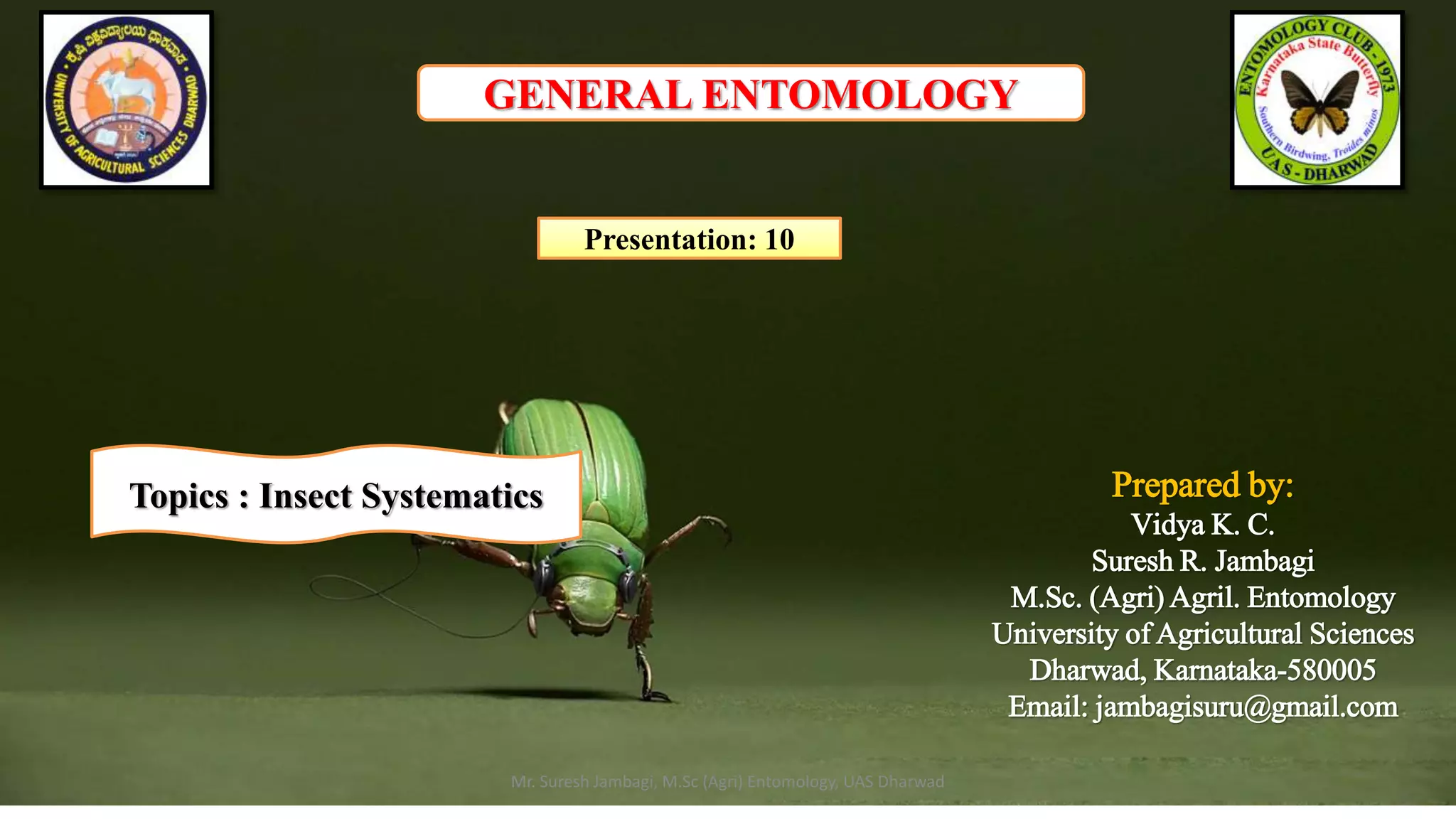 Insect systematics | PPTX