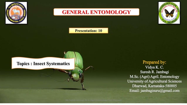 Insect systematics | PPTX | Biological Sciences | Science