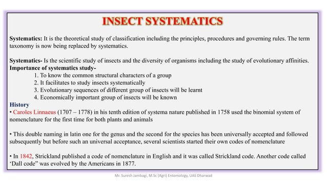 Insect systematics | PPTX | Biological Sciences | Science