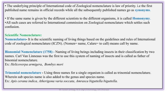Insect systematics | PPTX | Biological Sciences | Science