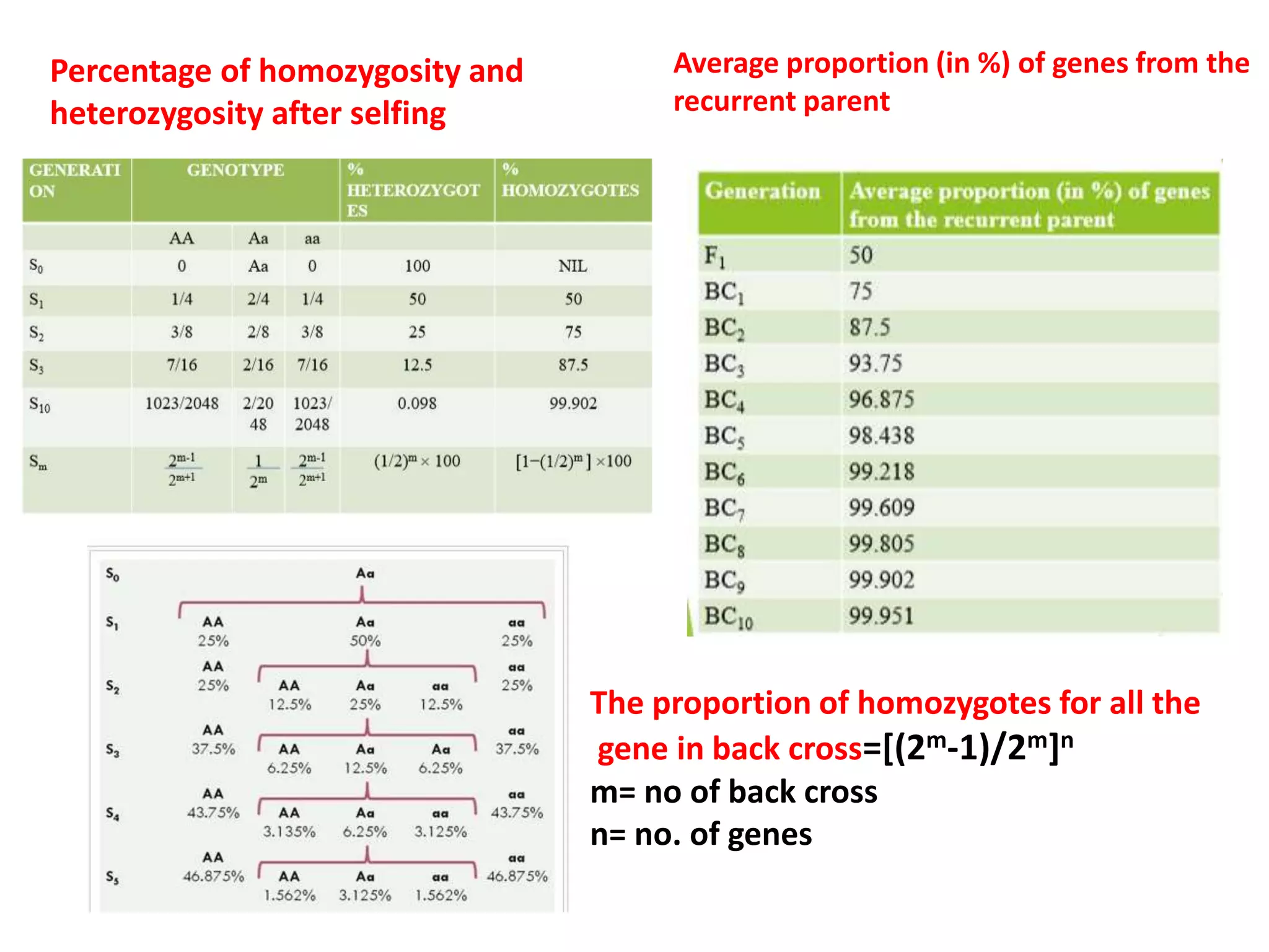 Backcross Breeding Method | PPTX