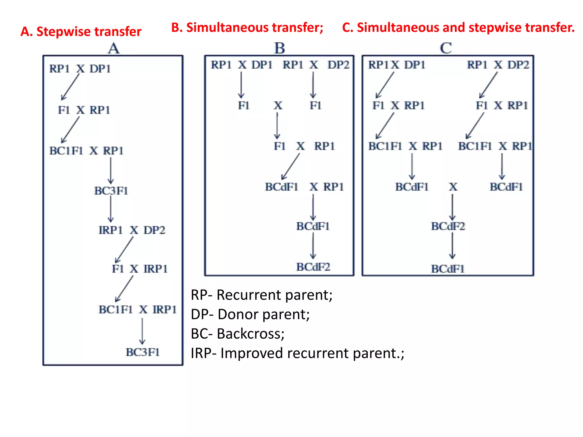 Backcross Breeding Method | PPTX