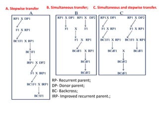 Backcross Breeding Method | PPTX