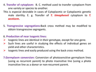 Backcross Breeding Method | PPTX