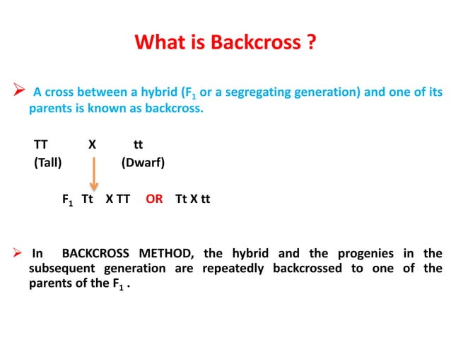 Backcross Breeding Method | PPTX