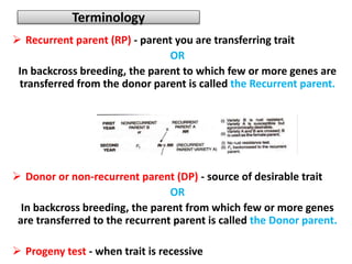Backcross Breeding Method | PPTX