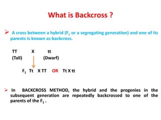 Backcross Breeding Method | PPT